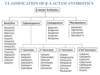 ANTIBIOTICS AND PENICILLIN,B LACTAM ANTIBIOTICS | PPTX