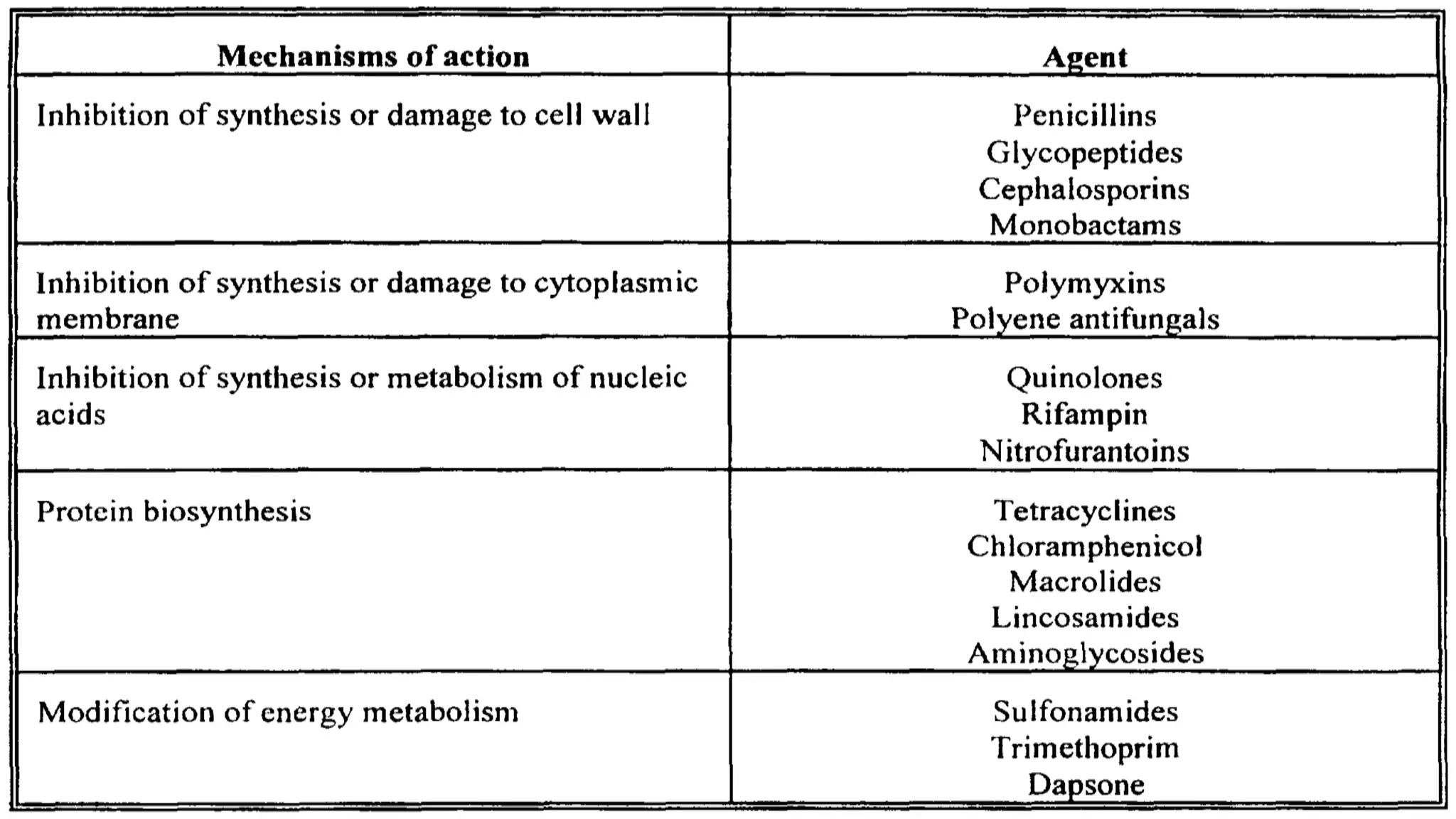 Antibiotics and their mode of action ankush (2019 a109m) | PPTX