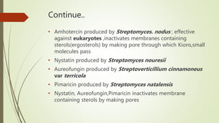 Antibiotics and their mode of action ankush (2019 a109m) | PPTX