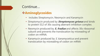 Antibiotics and their mode of action ankush (2019 a109m) | PPTX