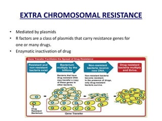 ANTIBIOTICS AND THEIR RESISTANCE MECHANISMS_2011-04-06 11-29-393.pptx ...