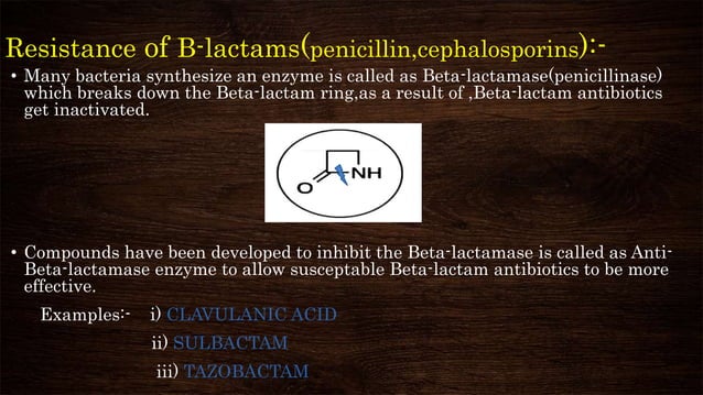 Antibiotics (beta lactams) | PPTX | Infectious Diseases | Diseases and ...