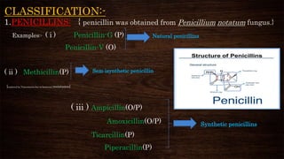 Antibiotics (beta lactams) | PPTX