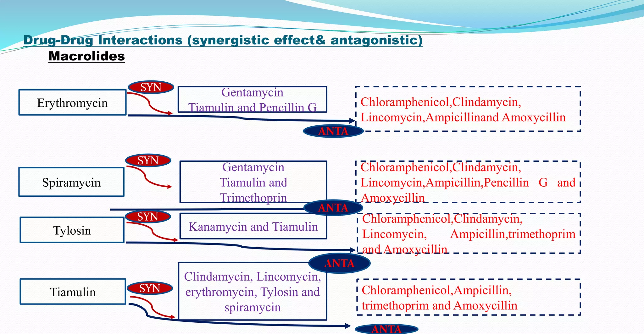 Antibiotics classification, synergism and antagonism | PPTX