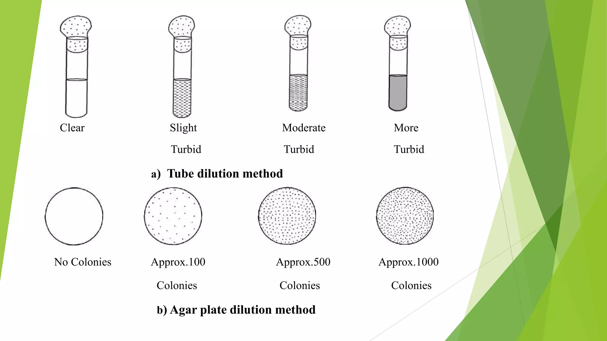 Antibiotic Sensitivity Test.pptx