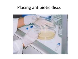 Antibiotic sensitivity test PPT by Dr.C.P.PRINCE | PPT