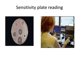 Antibiotic sensitivity test PPT by Dr.C.P.PRINCE | PPT