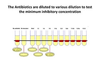 Antibiotic sensitivity test PPT by Dr.C.P.PRINCE | PPT