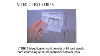antibiotic senstivity testing for Medical Students.pptx