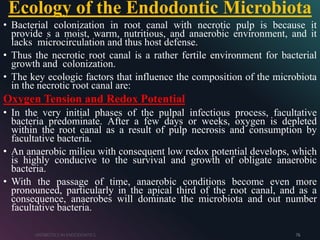 Antibiotics in endodontics | PPTX