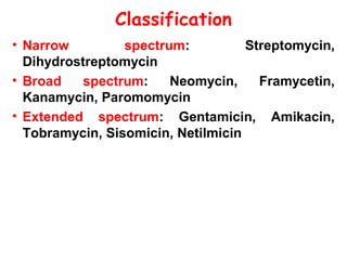 Antibiotics inhibiting protein synthesis 2 aminoglycosides 03 05-2018 | PPT
