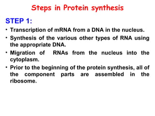 Antibiotics inhibiting protein synthesis 2 aminoglycosides 03 05-2018 | PPT