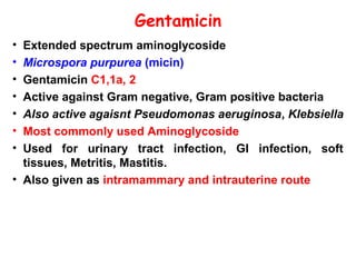 Antibiotics inhibiting protein synthesis 2 aminoglycosides 03 05-2018 | PPT