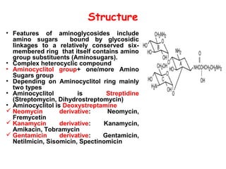 Antibiotics inhibiting protein synthesis 2 aminoglycosides 03 05-2018 | PPT