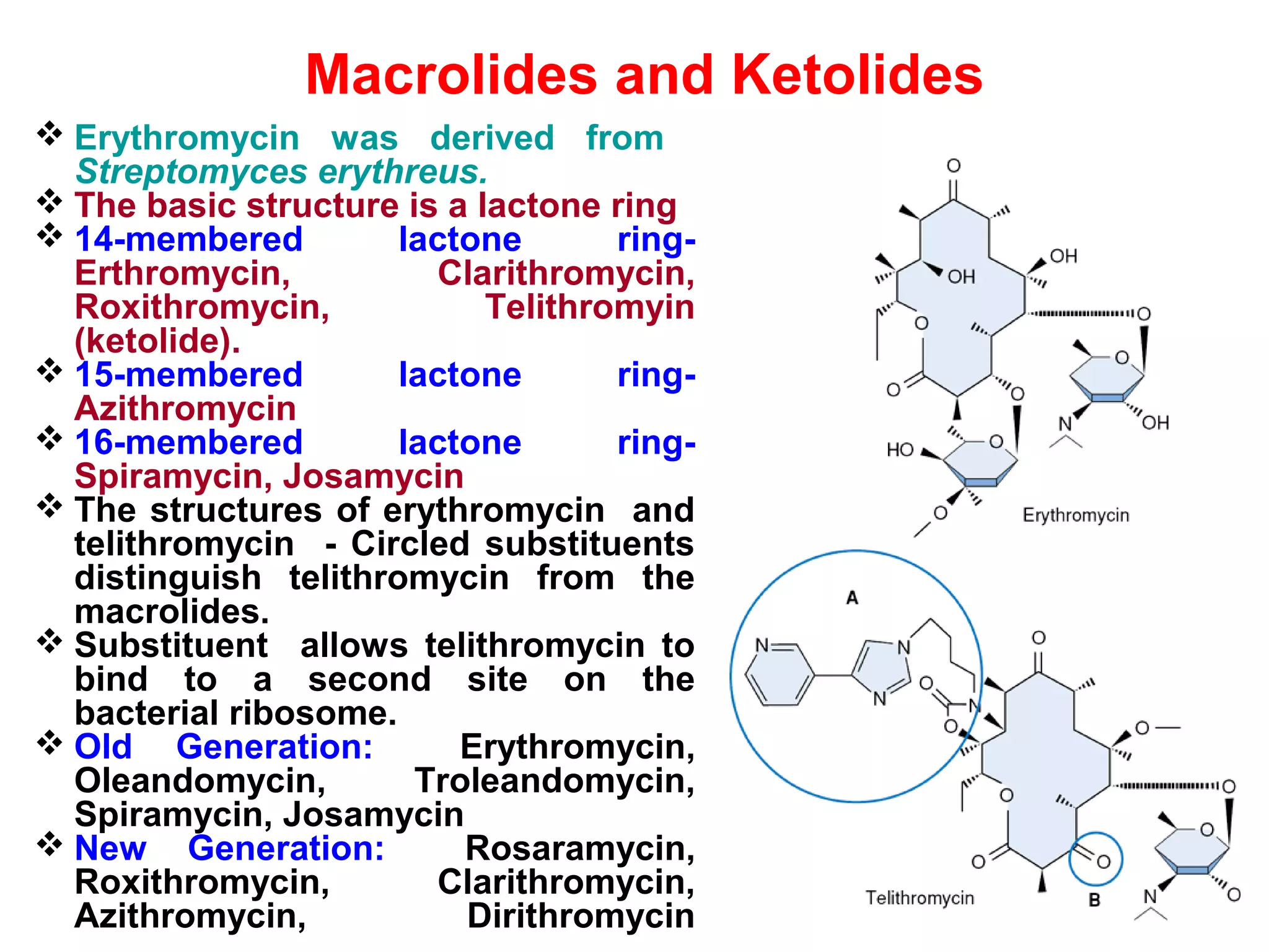 Antibiotics inhibiting protein synthesis 3 chloramphenicol and ...