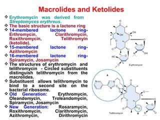 Antibiotics inhibiting protein synthesis 3 chloramphenicol and ...