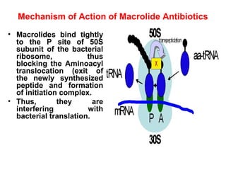Antibiotics inhibiting protein synthesis 3 chloramphenicol and macrolides 03 05-2018 | PPT