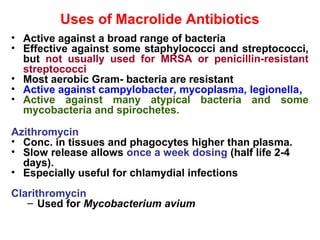 Antibiotics inhibiting protein synthesis 3 chloramphenicol and ...