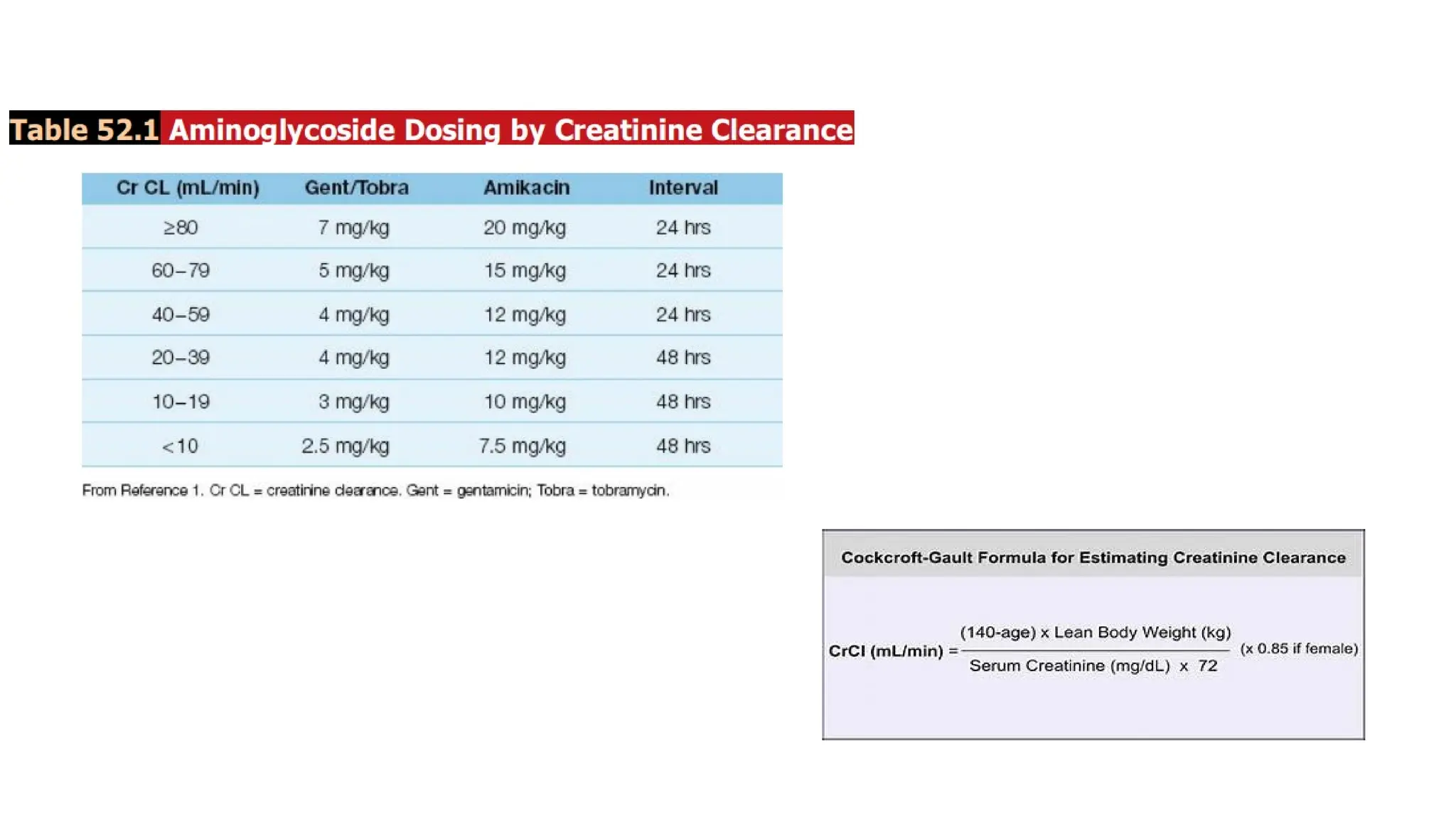 ANTIBIOTICS IN ICU, mechanism, classification, stewardship | PPTX