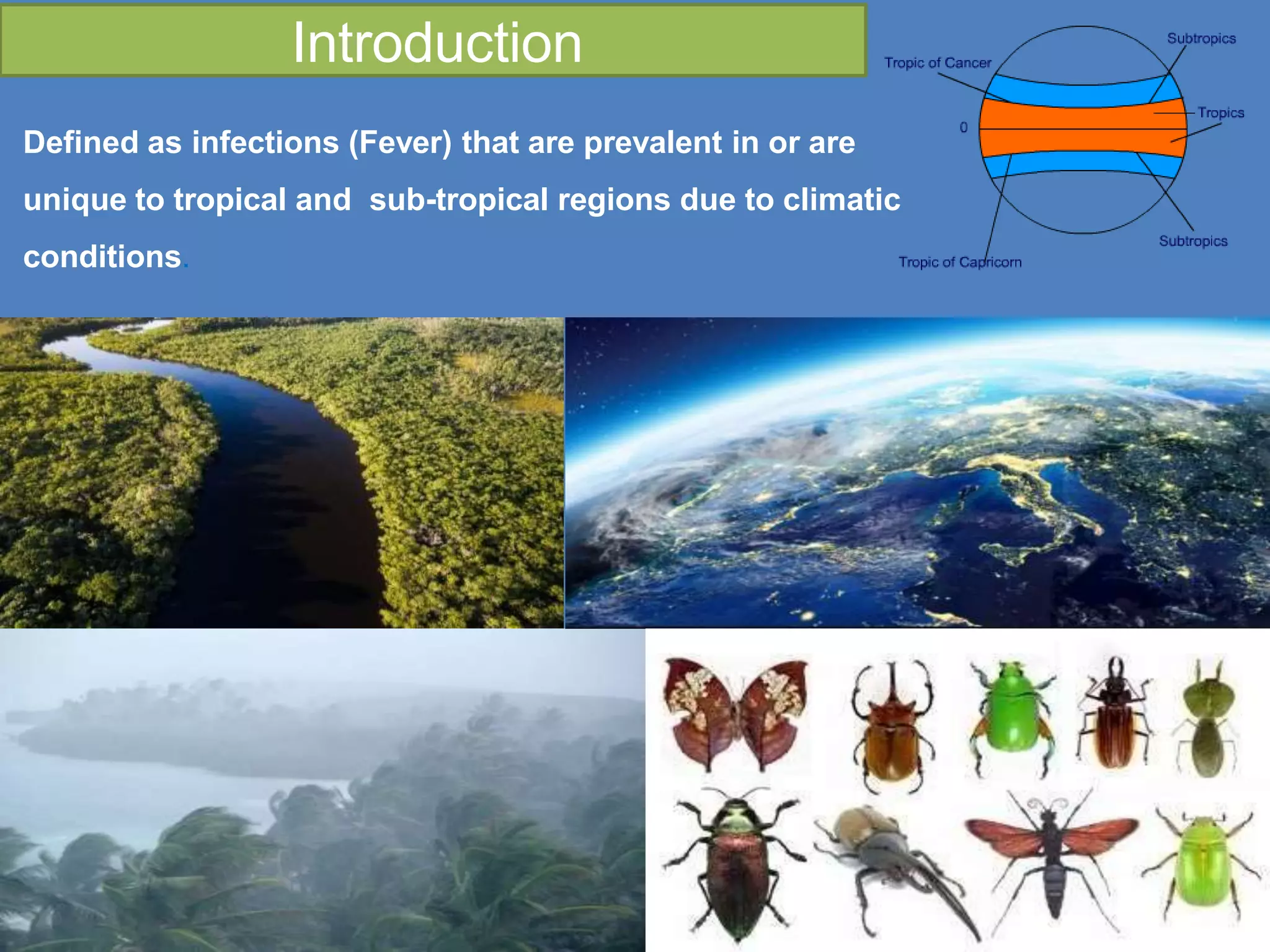 Antibiotics in tropical fever in icu. | PPTX