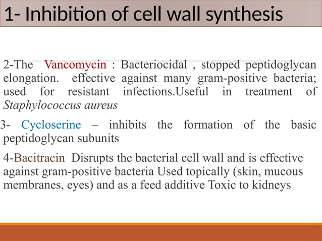 antibiotics and their mechaism of action | PPT