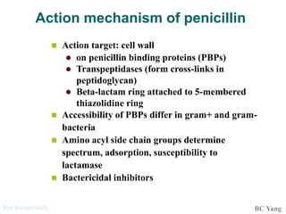 Antibiotics Lecture-1-Penicillins.ppt | Pharmaceutical Drugs | Medical ...