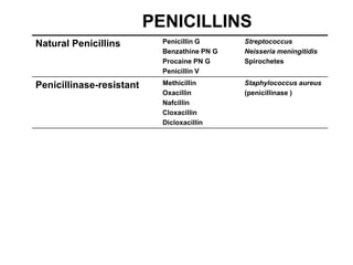 Antibiotics Lecture-1-Penicillins.ppt | Pharmaceutical Drugs | Medical ...