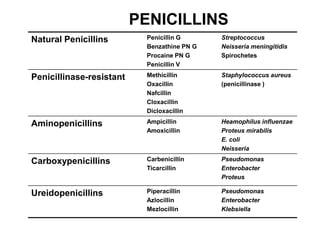 Antibiotics Lecture-1-Penicillins.ppt | Pharmaceutical Drugs | Medical ...
