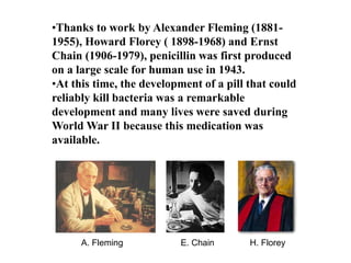 Antibiotics Lecture-1-Penicillins.ppt | Pharmaceutical Drugs | Medical ...