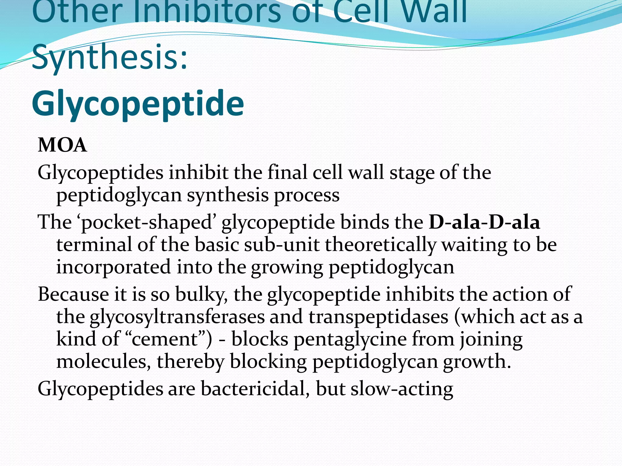 Antibiotics & mechanisms of actions | PPTX