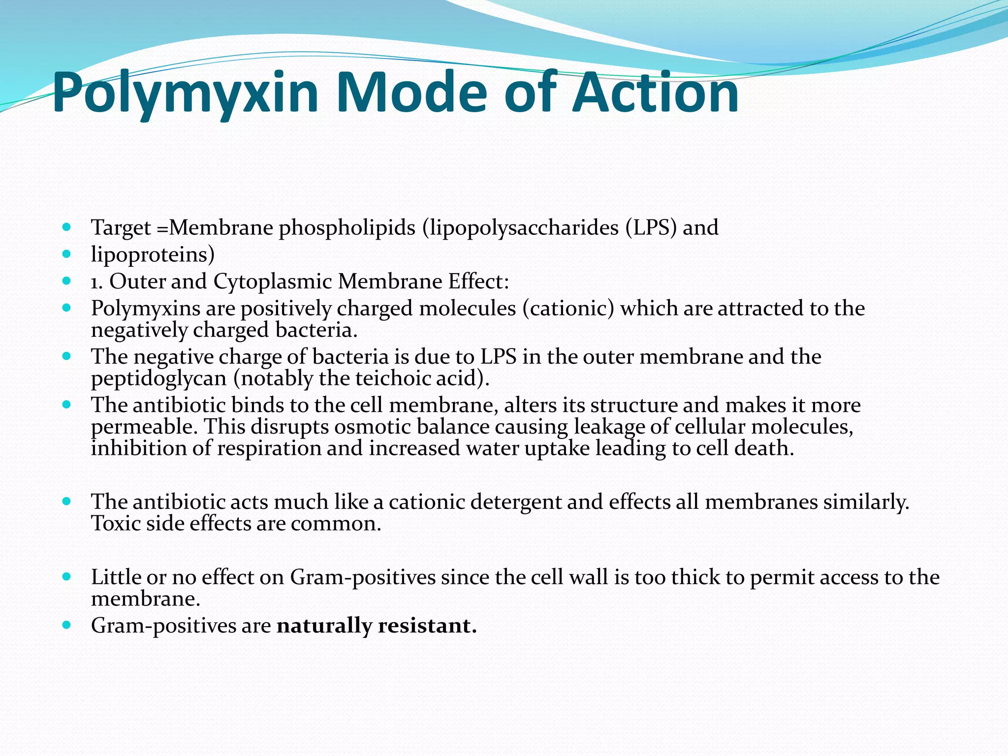 Antibiotics & mechanisms of actions | PPTX