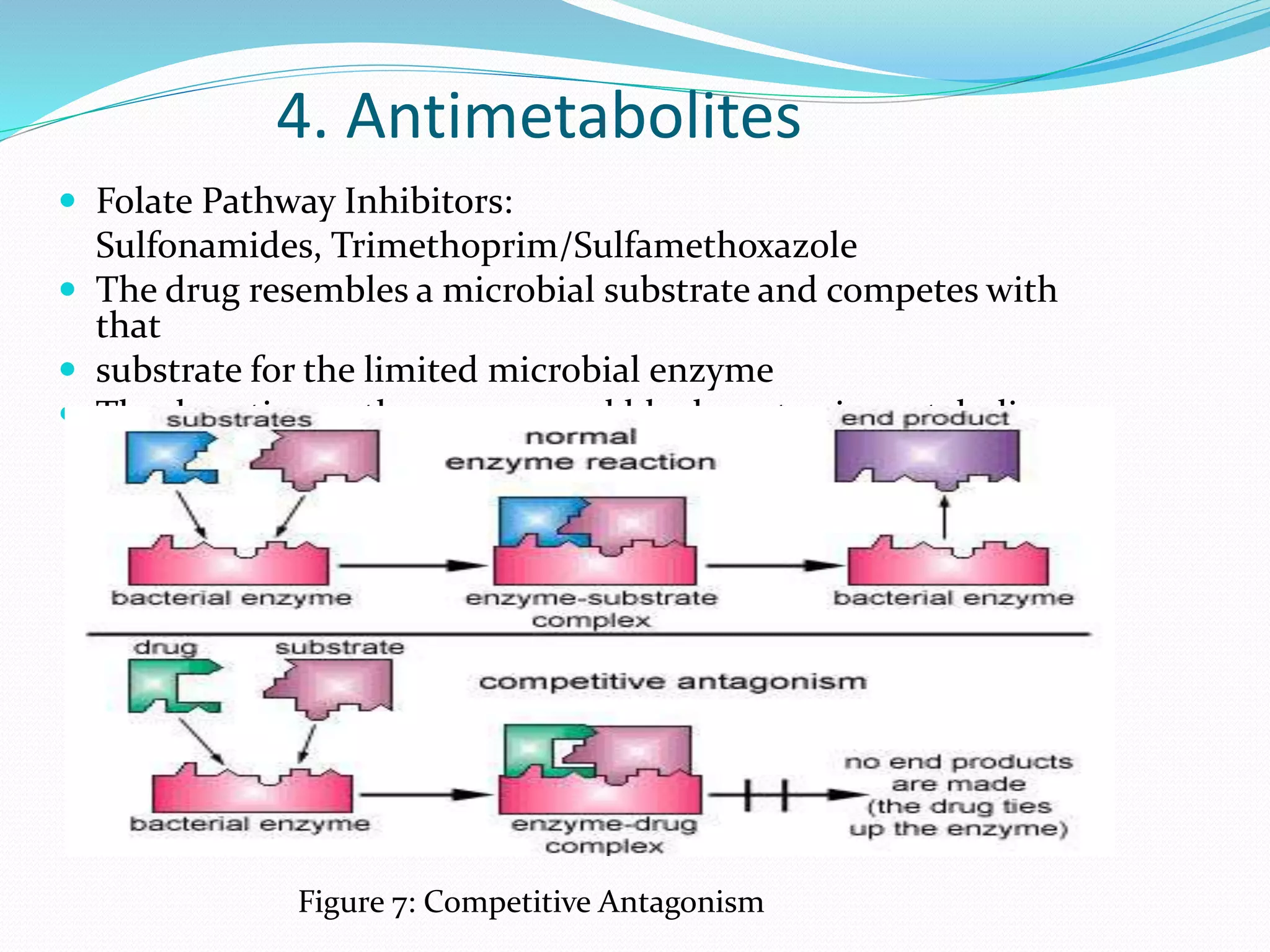 Antibiotics & mechanisms of actions | PPTX