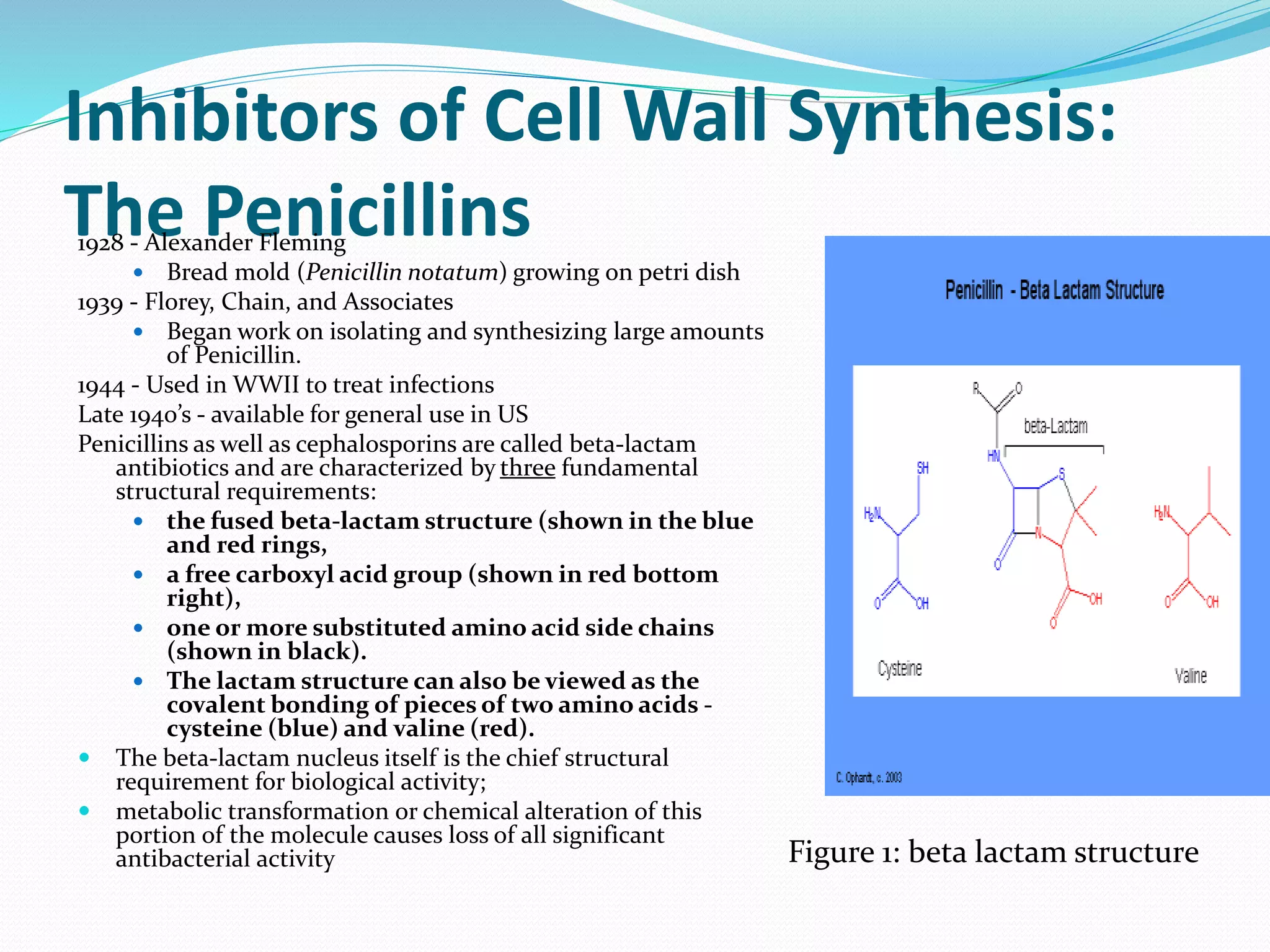 Antibiotics & mechanisms of actions | PPTX