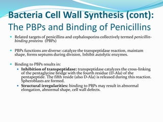 Antibiotics & mechanisms of actions | PPTX