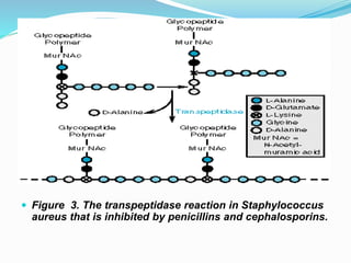 Antibiotics Classification According To Mechanism Of Action