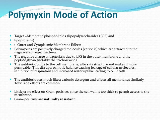 Antibiotics & mechanisms of actions