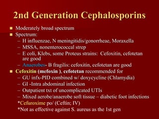 Antibiotics overview | PDF