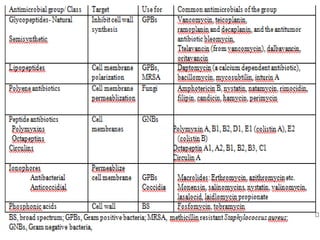 Antibiotics and their Classification, Beta Lactams | PPTX