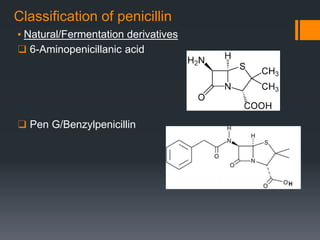 Antibiotics Penicillin (1).pptx