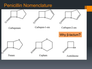 Antibiotics Penicillin (1).pptx