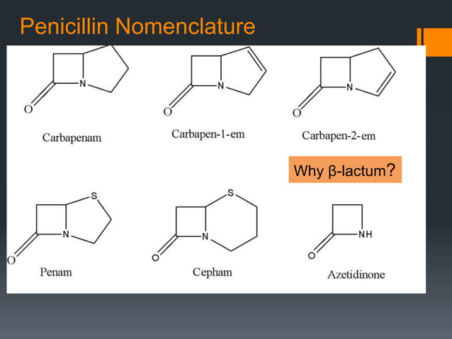 Antibiotics Penicillin (1).pptx