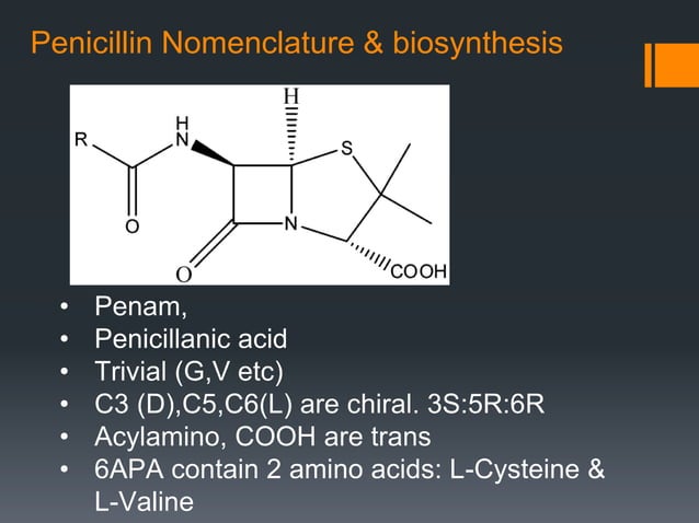 Antibiotics Penicillin (1).pptx