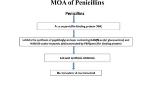 Antibiotics | PPTX