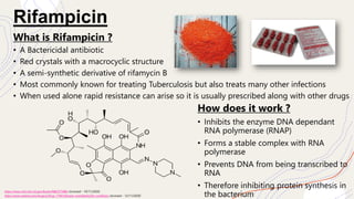 Antibiotics presentation | PPT