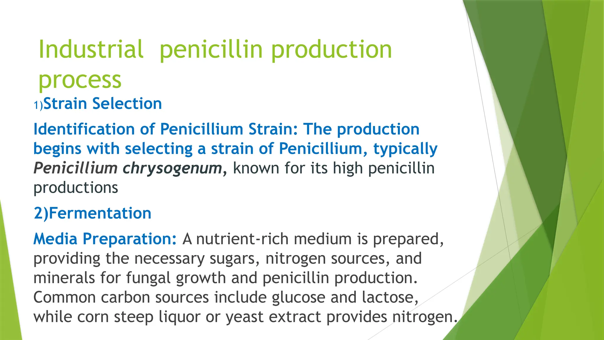 ANTIBIOTICS PRODUCTION penicillin...pptx