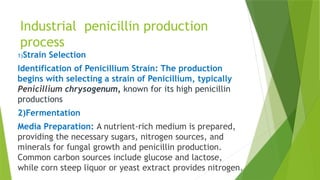 ANTIBIOTICS PRODUCTION penicillin...pptx