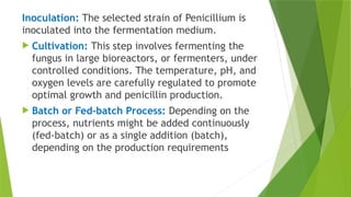 ANTIBIOTICS PRODUCTION penicillin...pptx