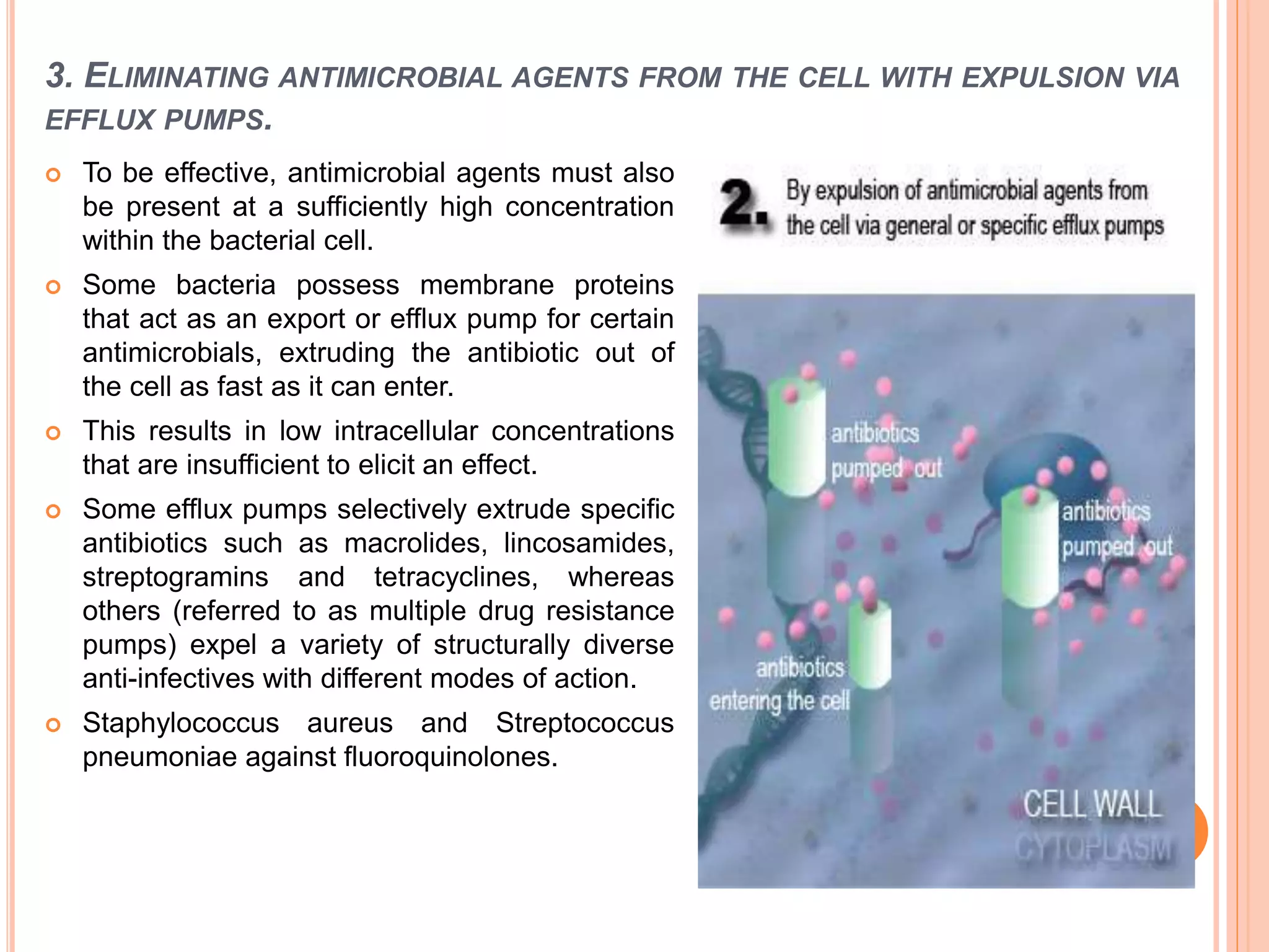 Antibiotics resistance | PPTX
