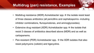 Antibiotics Resistance | PPTX