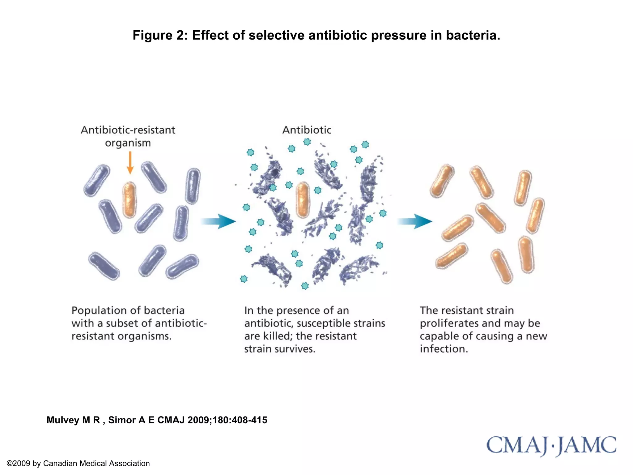 Antibiotics resistance lecture | PPT